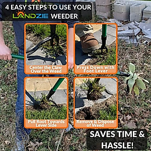 Landzie Weeder - 44 Inch Long Steel Stand Up Manual Weed Remover Tool for Lawn and Garden - Easily Weed Grass Without Bending or Kneeling - 4 Serrated Heavy Duty Claws with Lever for Easy Removal