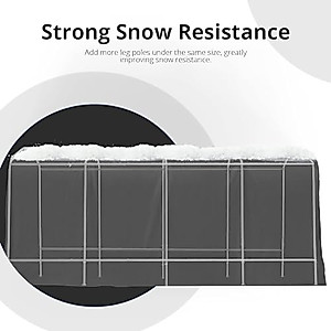 KING BIRD 10' x 20' Heavy Duty Anti-Snow Carport Outdoor Instant Garage Car Canopy with Reinforced Ground Bars