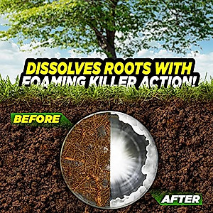 FOAMING Root Killer | 10 Pound| Kills Tree Roots in Pipes & Sewer Lines | Contains No Copper Sulfate