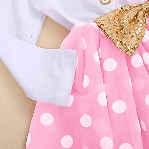 Winter Birthday Outfit Girl My Third Birthday Mini Dress Up Cake Smash Outfit Toddler Baby Tulle Tutu Skirt Long Sleeve Mouse 3rd Birthday Party Supply Three Years Old Photo Props Polka Dots Pink