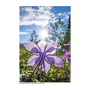 John Fielder's Colorado 2023 Scenic Engagement Calendar