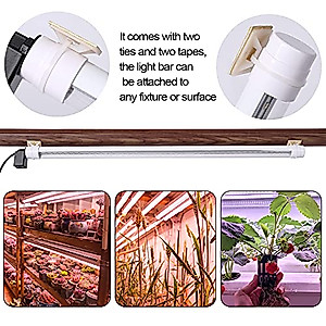 JCBritw Desktop LED Grow Light Bar T8 2ft Plant Growing Lamp on Stand for Indoor Plants White Full Spectrum Adjustable Tabletop Plant Light for Seed Starting, Seedlings, Veg, Flower