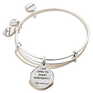 Alex and Ani Path of Symbols Expandable Bangle for Women, Four Leaf Clover Embossed Charm, Rafaelian Silver Finish, 2 to 3.5 in