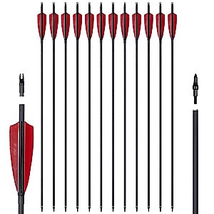 Hungtingdoor Archery 30" Carbon Arrows Hunting Arrows with 4" Turkey Feather Fletching Target Parctice Arrows with Removable Tips for Recurve Bow Compound Long bow(Pack of 12)