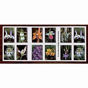 Wild Orchids Flowers Book of 20 Current First Class Postage Stamps Scott 5444
