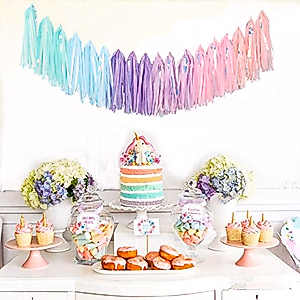 Fonder Mols Rainbow Tissue Paper Tassel Garland DIY Kit (40pcs, Blush, Mint, Aqua, Lilac and Orchid All Mixed with Iridescent Mylar) for Spring, Candy, Easter, Unicorn Party Decorations A33