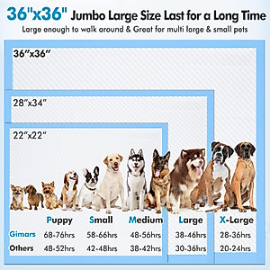 Gimars 4XL 36"x36" Thicken Heavy Absorbency Dog Pad Extra Large- Jumbo Disposable Polymer Quick Dry No Leaking Pee Pads for Dogs, Cats, Rabbits Pets 30 Counts