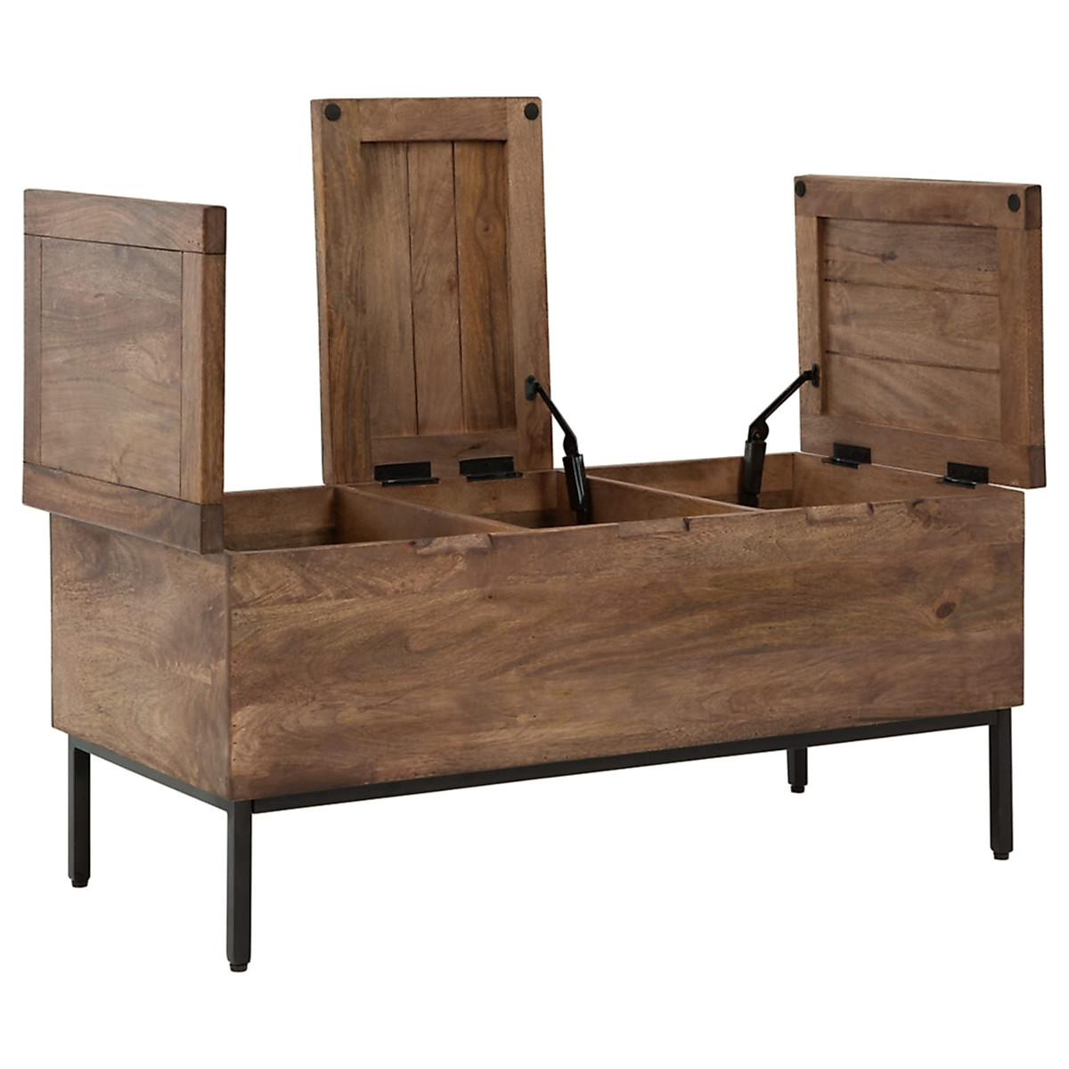 Signature Design by Ashley Braddick Trunk, Light Brown and Black