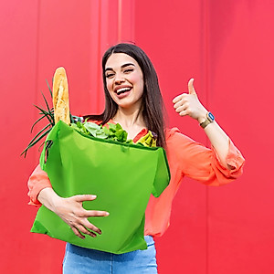 Evohyah Shopping Bags Reusable Grocery Tote Bags Kitchen Reusable Grocery Bags 50LBS Ripstop Geometric Fashion Recycling Bags Folding Storage Bag Machine Washable Nylon Bags (Sgreen, S)