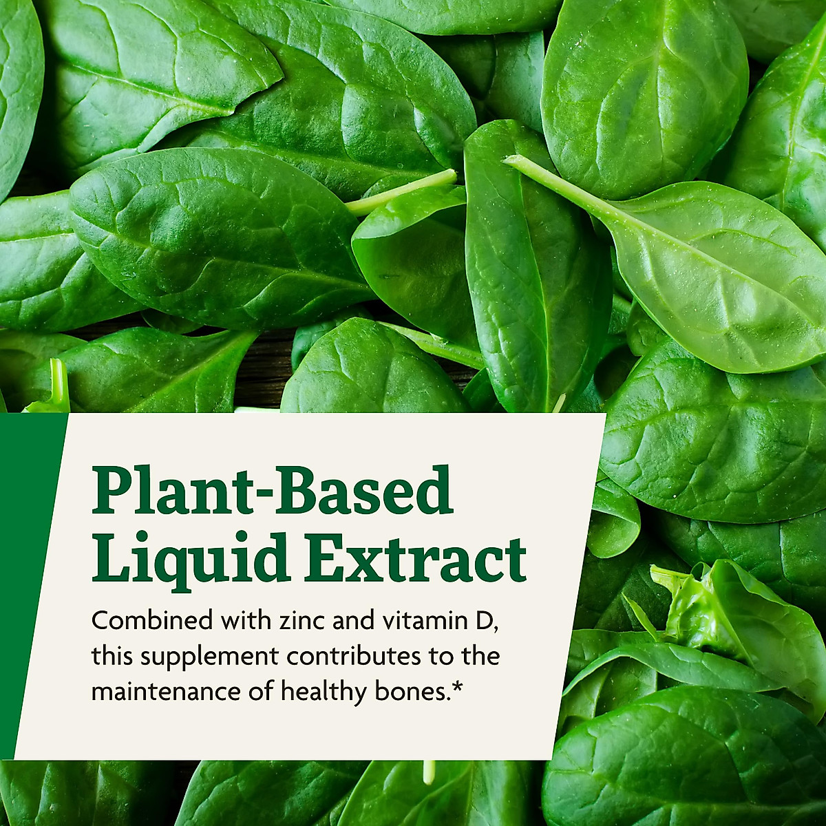 Floradix Calcium Magnesium Liquid Herbal & Mineral Supplement - Bone & Joint Support Supplement with Calcium, Magnesium, Vitamin D & Zinc - Vegetarian, Non-GMO - 17 fl oz