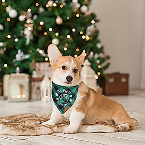 ADOGGYGO Christmas Dog Bandanas 2 Pack, Classic Plaid Xmas Pet Scarf, Premium Cotton Fabric, Multiple Sizes Offered, Dog First Christmas Bandanas for Medium Large Dogs Pets (Large, Style 1)
