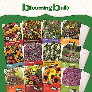 BloomingBulb Seed Mat - Easy to Plant and Grow Garden Seeds - Creates Fragrant, Vibrant Flower Garden – Customizable Flower Beds- Creeping Thyme Ground Cover