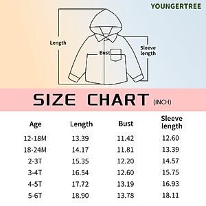 YOUNGER STAR Toddler KidsBaby Boys Hooded Plaid Shirt Classical Shirt Hooded Jacket Fall Winter Clothes (Brown, 6-12 Months)