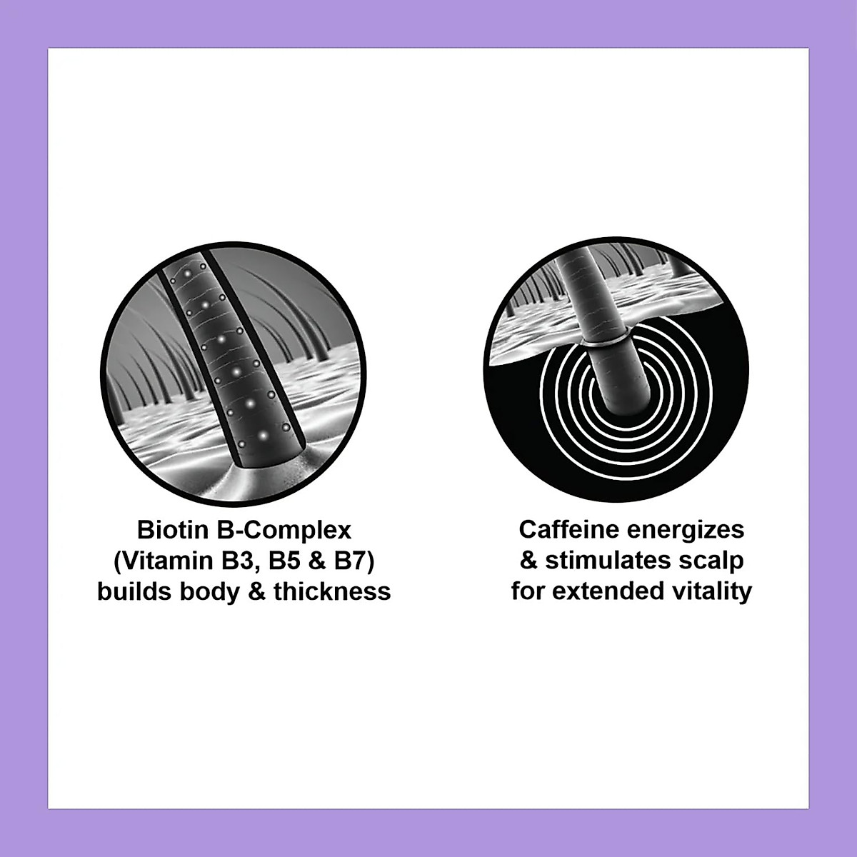 Petal Fresh Hair ResQ Color Protection Natural Thickening Biotin Shampoo for Thinning Hair, Locks in Color & Anti-Breakage, Vegan & Cruelty-Free, 12 fl oz