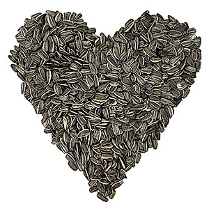 Executive Deals Grey Striped Sunflower Bird Seeds & Wildlife Feed - 5LBS (Double-Sealed)