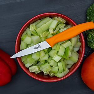 Slitzer Germany 4-Piece Paring Knife Set, 3 1/2 Inch Blade, German Stainless Steel, Colored Handles, Red, Yellow, Green, Orange