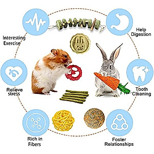 Grddaef 20 PCS Bunny Chew Toys for Teeth, Natural Rabbit Toys Apple Wood Grass Timothy Sticks Chew and Treat for Guinea Pigs Hamster Chinchillas