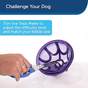 PetSafe Busy Buddy Kibble Nibble - Dog Toy - Treat and Food Dispenser - Slow feeder - Medium/Large