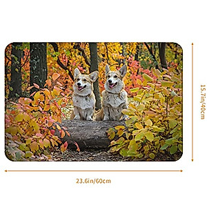 Custom Rug Personalized Decor Mat 15.7x23.6 inch, Customize Your Own Picture and Print Text, Modern Carpet ​for Home Decoration Area Rug