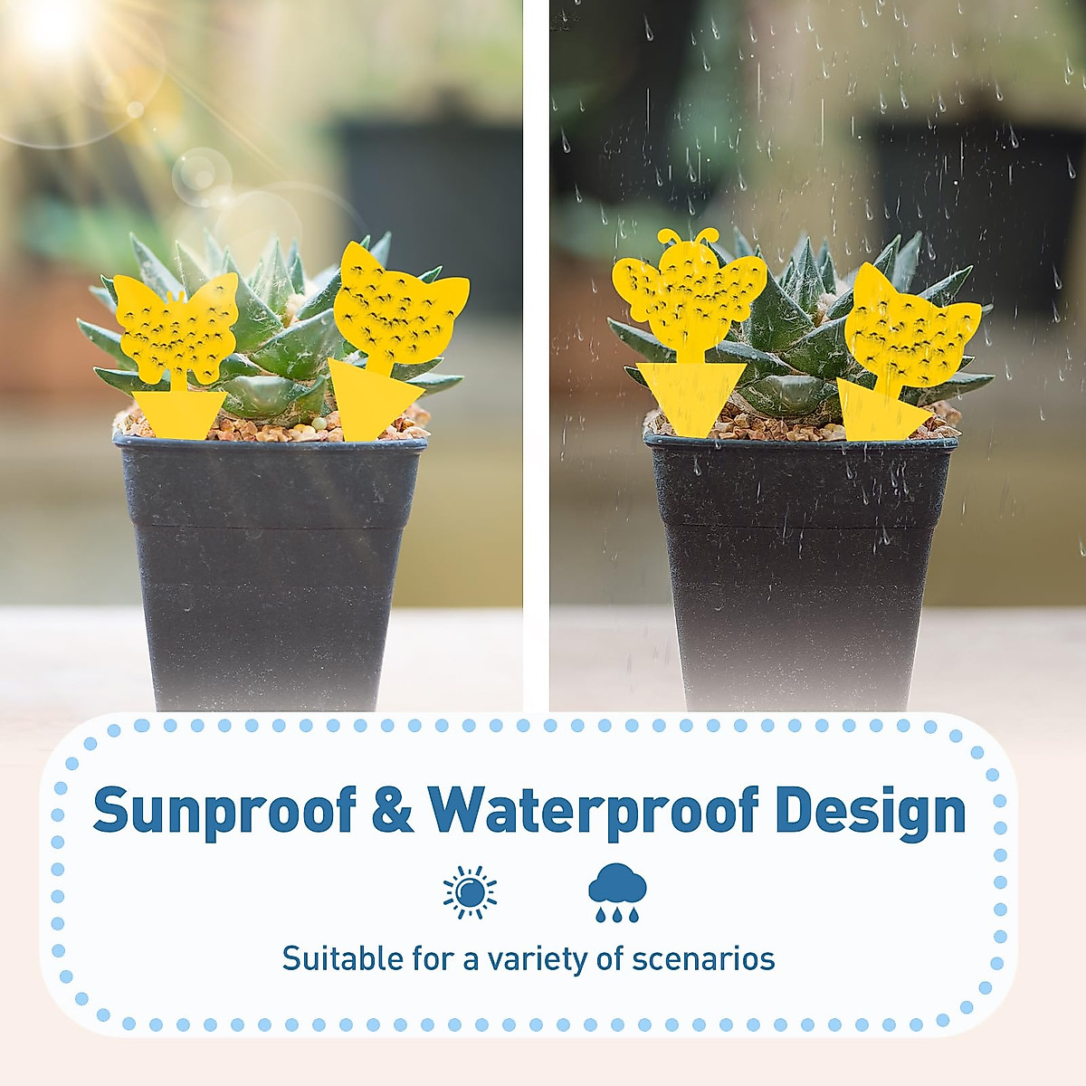 vertmuro 48 Pack Fruit Fly Traps for Indoor Outdoor, 3 Shapes Yellow Sticky Bug Traps, Double-Side Fungus Gnat Killer for Houseplants, Mosquitos, Flying Insects