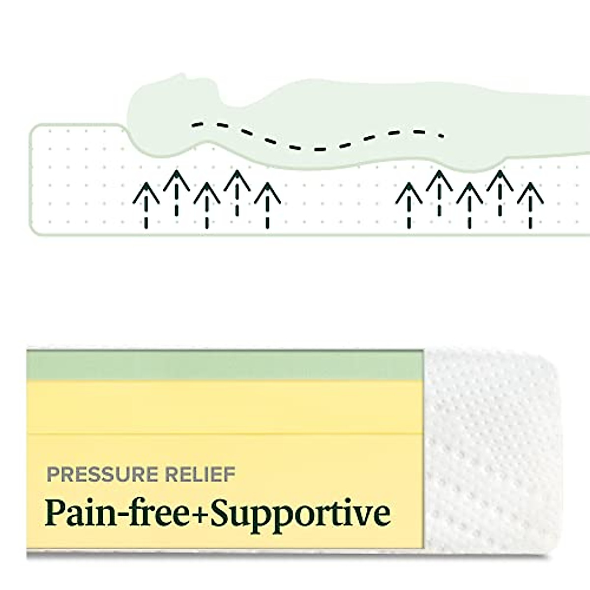 Zinus 8 Inch Green Tea Essential Memory FoamMattress/Bed-in-a-Box/AffordableMattress/CertiPUR-US Certified, Full