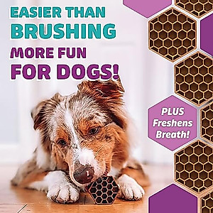 Yummy Combs Dog Dental Treats | Vet VOHC Approved | Protein Treat | Dental Care & Cleaning Comb Shape | Yummy Dog Treats | Dental Dog Treats for Small Dogs (12oz, 21 Count)