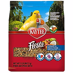 Kaytee Fiesta Canary and Finch Food, 2 Pound Bag