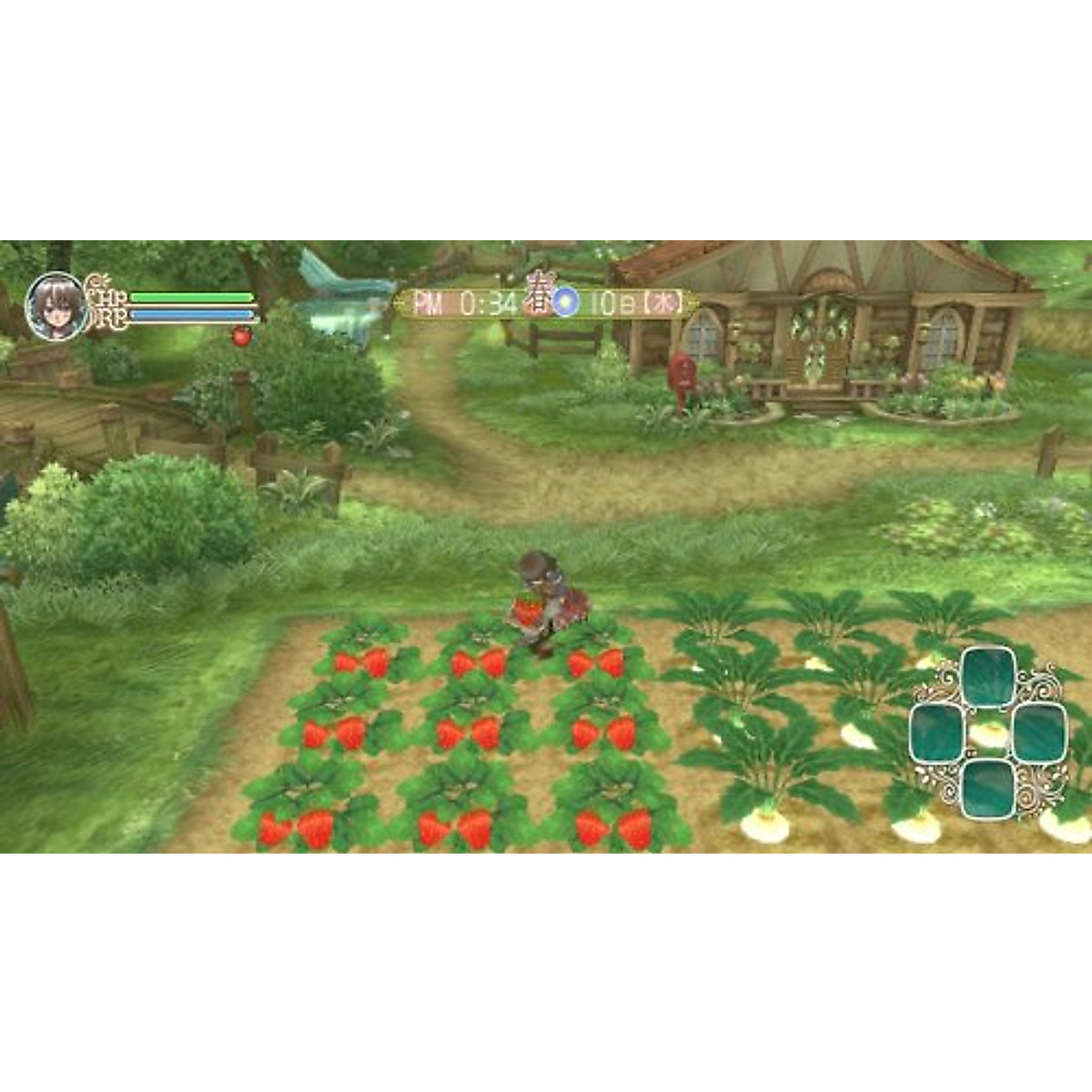 Rune Factory: Frontier - Nintendo Wii