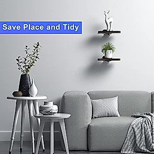 Wall Mounted Floating Shelves Wall Small for Speaker Shelf, Bedroom, Barthroom, Living Room, Kitchen, Office and Wall Shelf Speaker Stand for Plant Wall Shelf, TV Soundbar, Speaker and More (Set of 2)