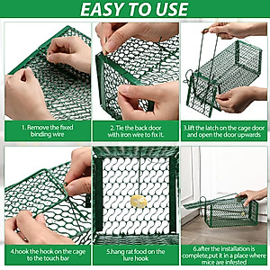 Qualirey 4 Pcs Humane Rat Trap Chipmunk Squirrel Cage Trap Foldable Rodent Trap for Small Live Animal Voles Hamsters Cage Catch and Release for Kitchen Yard Garage Indoors Outdoors (Green)
