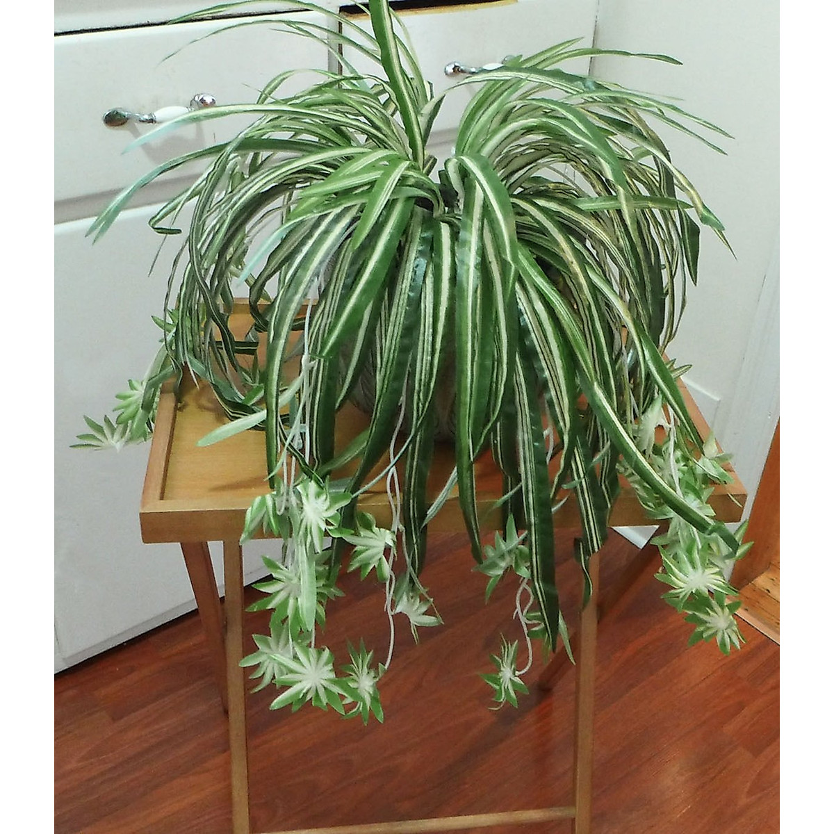 CHSGJY 2 Chlorophytum Grass Vine Artificial Flower Bush Spider Hanging Home Garden Decor