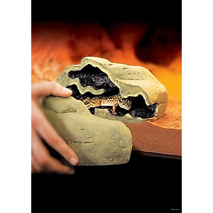 Exo Terra Reptile Den, Hideout Tunnel System for Terrariums, Large, PT2863