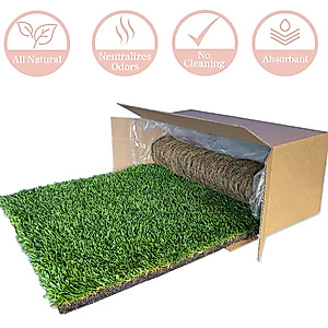 DoggieLawn XL - Real Grass Disposable Pet Potty - 48 x 24 Inches with Plastic Tray - Potty Training Pad for Dogs