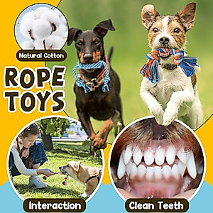 Zeaxuie 9 Pack Luxury Puppy Toys for Teething Small Dogs, Puppy Chew Toys with Cute Squeaky Dog Toys, Ball and More Rope Dog Chew Toys