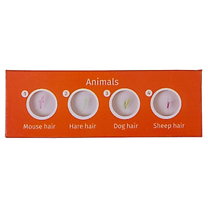 Levenhuk LabZZ CP24 Creatures and Plants Prepared Microscope Slides Set for Kids Children and Students Education