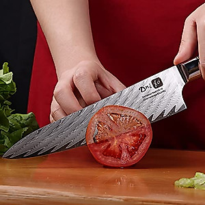 Dnifo Chef Knife, Damascus VG-10 Steel 8 inch Professional Sharp Kitchen Knife, Japanese Chef Knives Full Tang Half Bolster Cooking Damascus Knife, Anti-rusting Forged Damascus Chef's Knife