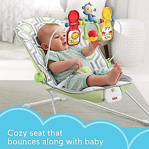 Fisher-Price Baby's Bouncer – Green, bouncing seat for soothing and play for newborns and infants [Amazon Exclusive]
