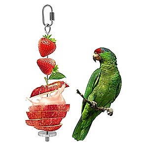 YIQUAN Bird Food Holder, 1PCS,Bird Feeders, Stainless Steel Parrot Fruit Vegetable Stick Holder, Foraging Toy (7.9inch)