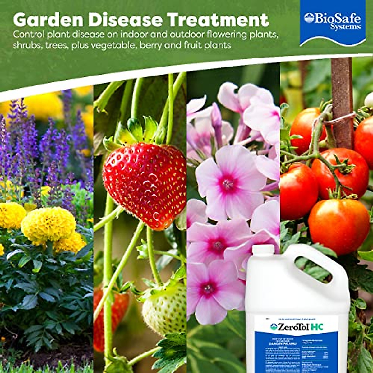BioSafe Systems ZeroTol HC, Broad Spectrum Algaecide, Bactericide, and Fungicide, Peroxyacetic Acid, Kills Mold, Single 6200-1, 1 Gallon