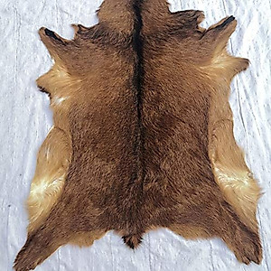Red Deer Hide Rug Deer Skin Rug Deer Taxidermy Fireplace Deerskin Decor Reindeer Hide Area Rug Animals Mat Carpet for Home, Office, Bedroom Taxidermy Hunting Collectable 3.2x2.1ft