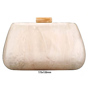 Acrylic Purse and Handbag for Women Small Clutch Purses Acrylic Evening Clutch Bag Shoulder Bag with Gold Chain (Champagne)