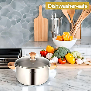 Daniks Oslo Stainless Steel Stock Pot with Glass Lid | Induction 2 Quart | Dishwasher Safe Pot | Heatproof Handles | Soup Pasta Stew Pot | Silver