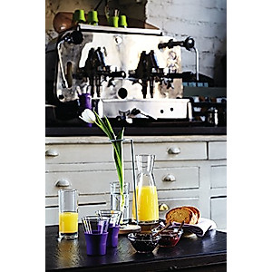 Bormioli Rocco Ypsilon Carafe, Set of 12 , 9.5 Oz.