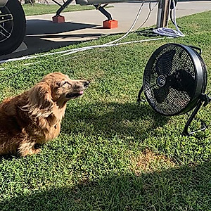 HydroMist 12" Cool n Go Cordless Rechargeable Outdoor Fan, Ultra-portable and Rechargeable Battery-Powered Fan, USB Charging Port, Outdoor-Rated, Black