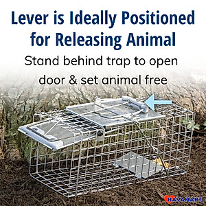 Havahart 1083 Catch and Release Small 1-Door Easy Set Humane Live Animal Trap for Squirrels, Rabbits, Skunks, and Other Small Animals