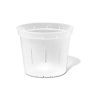 rePotme 6 inch Orchid Pot 3 Pack - Slotted Orchid Pots with Holes for Repotting (Crystal Clear)