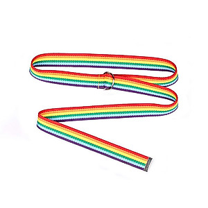 AIBEARTY Canvas Web Double D Ring Plaid Belt Silver Buckle Long Waistband for Women Men Teens (Rainbow)