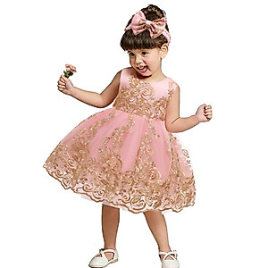 Baby Princess Girls Embroidery Dresses Toddler Lace Ruffles New Year Easter Tutu Dress with Headwear (Pink02,80)