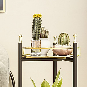 BENOLDY 2 Tier Plant Stand Table - Black Metal Frame with 2 Portable Golden Plate Tray, Plant Holder Stand, Serving Cart Tray and Wine Rack, Indoor/Outdoor Plant Shelf, Plant Pot Stand