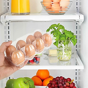 ZOFORTY Plastic Egg Cartons Bulk - 50 Pack Clear Egg Cartons Empty Chicken Egg Tray Reusable Egg Carton Holder for Family Pasture Chicken Farm Market Display (8 Grids)